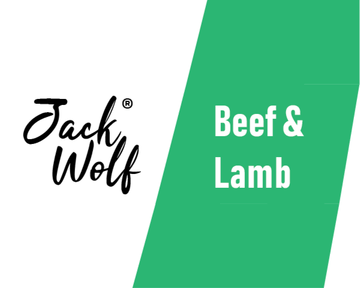 All – Jack Wolf